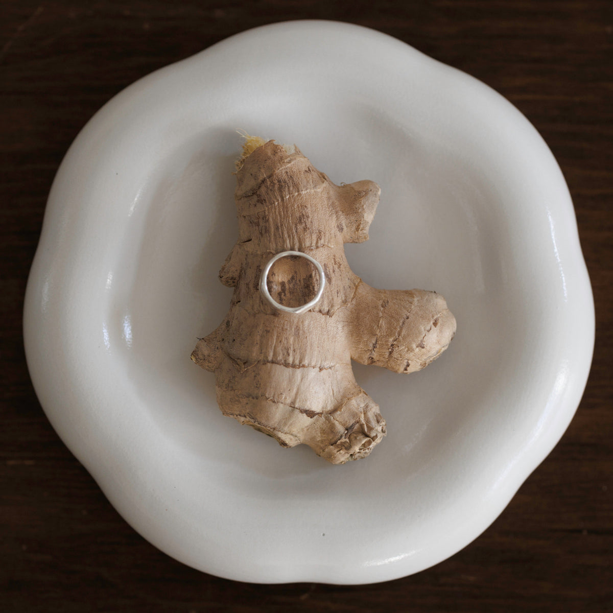 The Cloud Dish (PRE-ORDER) Available in 9 Colors – Sienna Studios